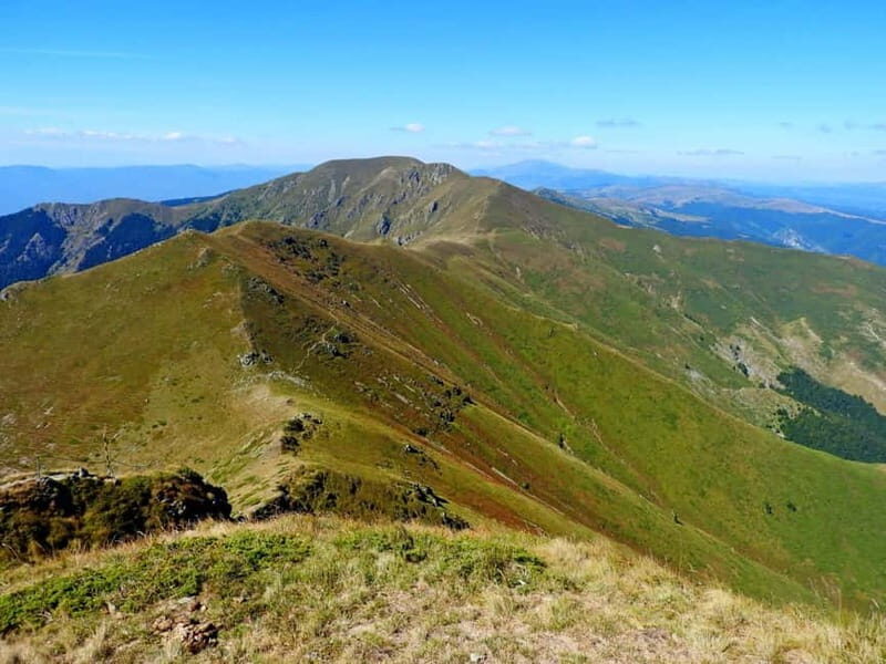 Plovdiv: Central Balkan National Park Guided Hike - The Value of This Guided Hike
