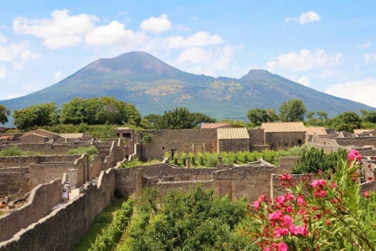 Pompeii: Skip-the-Line Ticket with Audio Guide and Map - The Meeting Point and Logistics