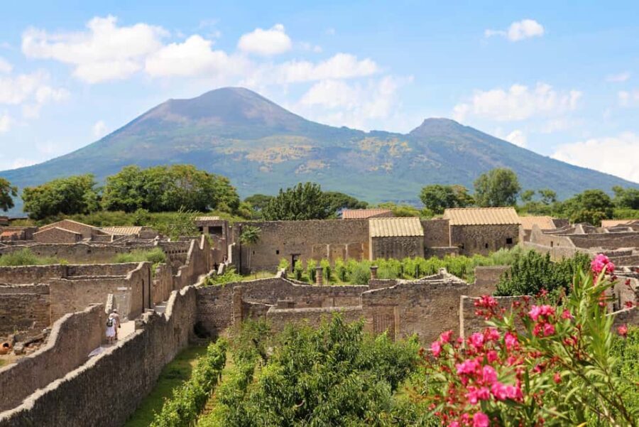 Pompeii: Skip-the-Line Ticket with Audio Guide and Map - The Meeting Point and Logistics