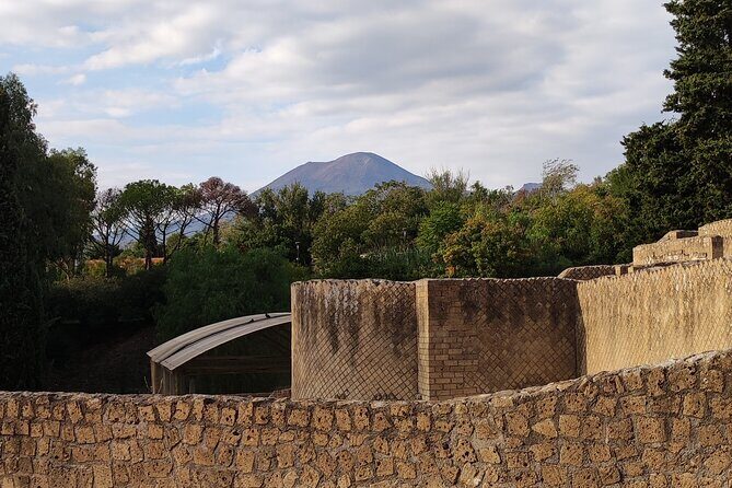 Pompeii: Tour with Archaeologist Guide & Skip-the-Line Entry - What to Expect from the Pompeii Tour