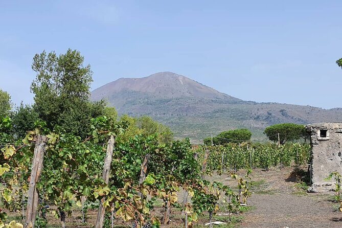 Pompeii & Wine Tour from Sorrento (tickets & lunch not included) - Why Choose This Tour? The Benefits