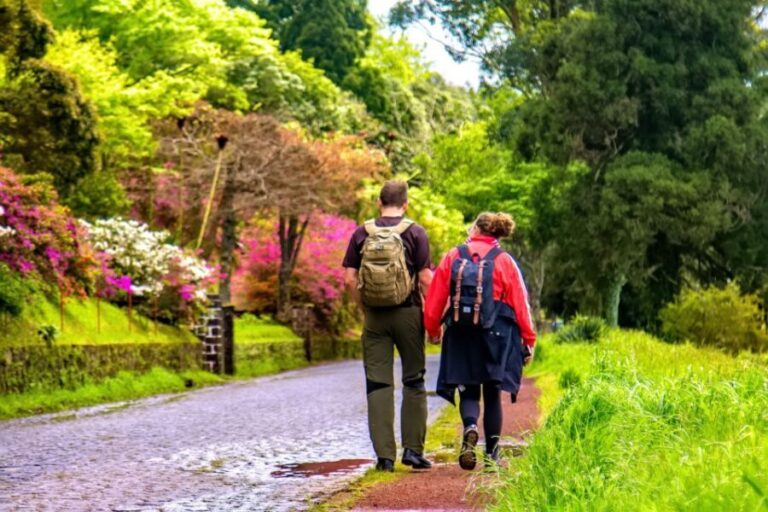 Ponta Delgada: Full-Day Van Tour to Furnas Valley - A Closer Look at the Tour Itinerary