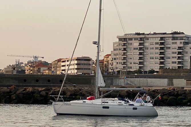 Port : Douro River Cruise (2 h)  Wine & Scenic Views - Exploring the Port Wine Connection