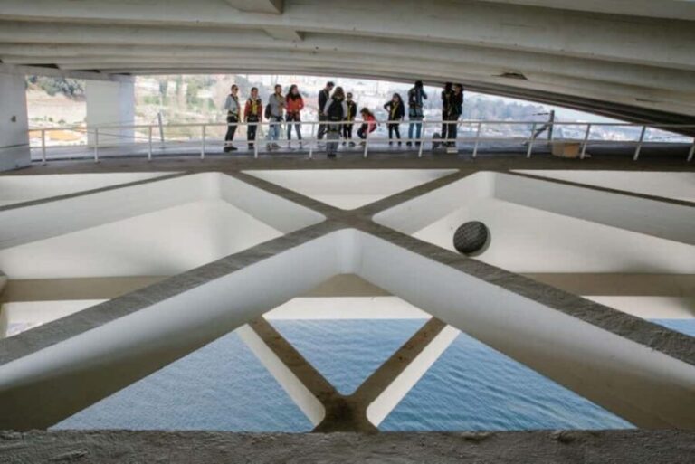 Porto: Arrábida Bridge Climbing - What to Expect During Your Climb