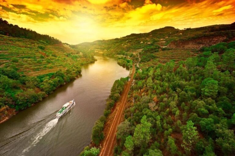 Porto: Douro Valley Wine Tour - What Could Be Better