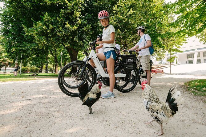 Porto Riverbank E-Bike Tour - Atlantic Coast, Gardens - Detailed Breakdown of the Itinerary