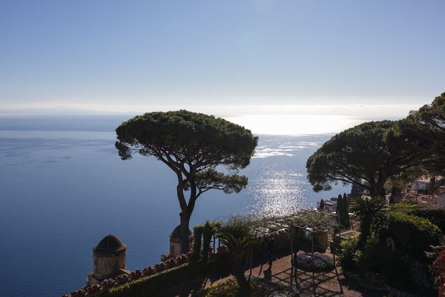 Amalfi coastline view with pine trees