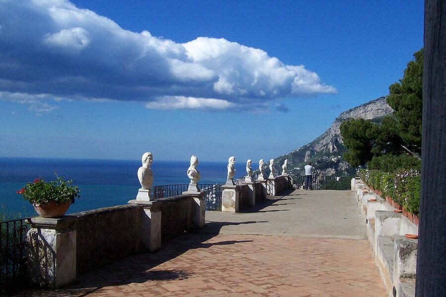 Ravello pine tree overlooking the Amalfi coast