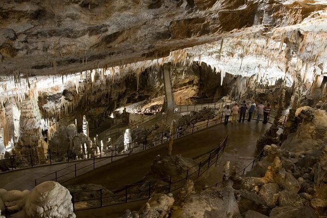 Postojna Cave with Train Ride and Predjama Castle Half Day Trip from Ljubljana - What to Expect at Each Stop