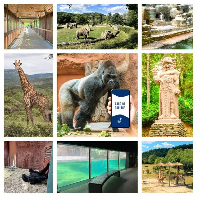 Prague Zoo Online Audio Guide (No ticket) - Is the Prague Zoo Audio Guide Worth It?