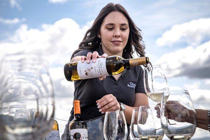 Premium Tasting | Quinta de Santa Cristina Vinho Verde - A Deep Dive into the Wine Tour Experience