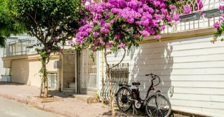 Prince's Island Group Tour - Practical Considerations and Value