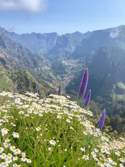 Private 4x4 Shore Excursion: Madeira Culture & Trails 4-6H - Final Thoughts