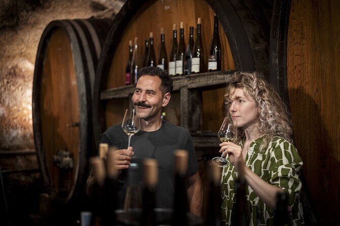 Private Alsace Wine Tour from Colmar area, Basel or Mulhouse - The Itinerary in Detail