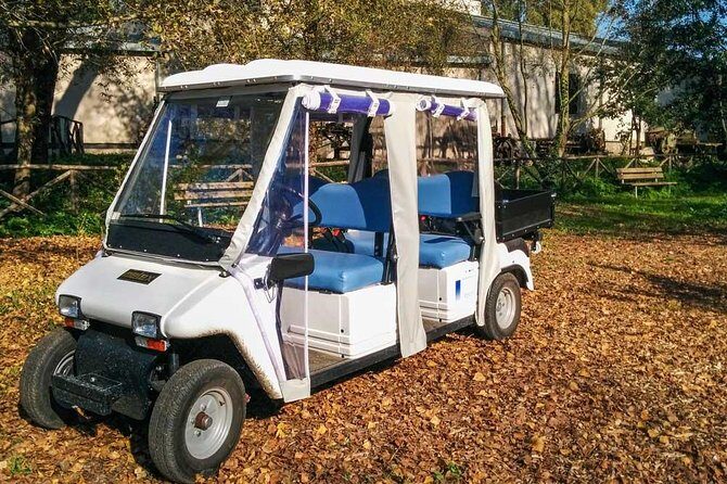Private Appian Way (Appia Antica) Tour in Rome by Golf Cart - Deep Dive into the Experience