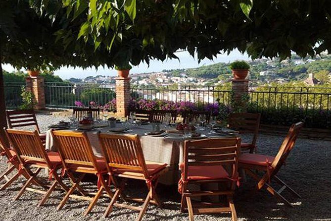 Private Breakfast Winery Experience - Private Wine Tasting Tour - The Vineyard Experience: What You’ll Actually Do