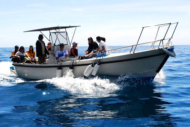 Private Cinque Terre Boat Tour - Who Will Love This Tour?