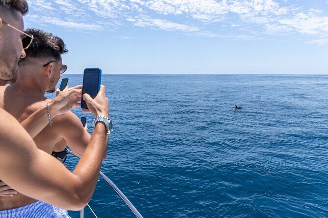 Private Coastline and Dolphins Yacht Cruise from Albufeira - FAQ