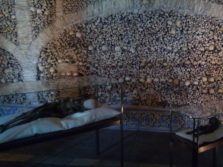 Private day tour to Évora: cork, factory, winery & the city - Who Is This Tour For?