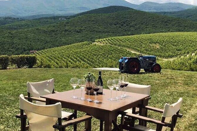 Private Day Trip from Thessaloniki to Vergina, Naousa, and Edessa - Why This Tour Works