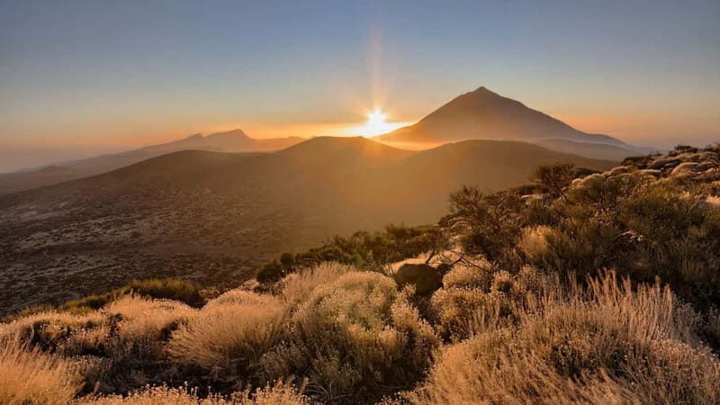 Private excursions for cruise-ship passengers - An In-Depth Look at the Mount Teide Private Tour