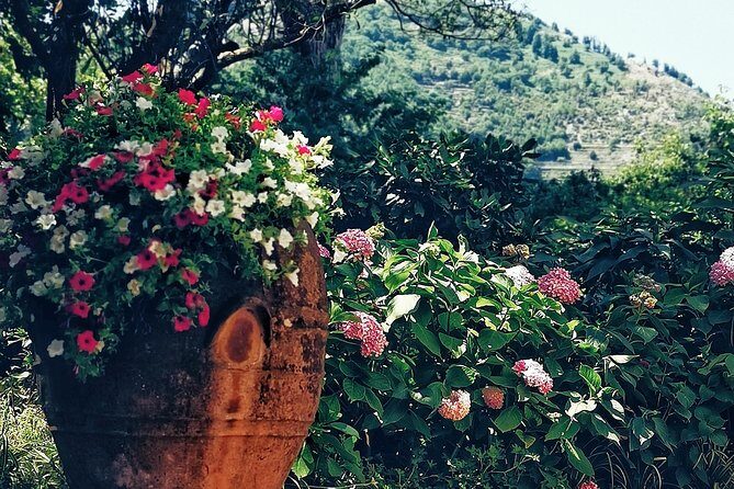 Private full day tour to Capri with grottos - Who Should Consider This Tour?