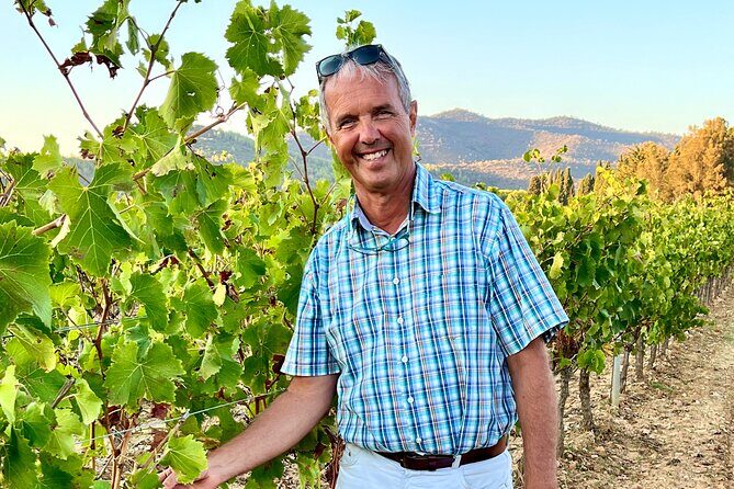 Private Full Day Wine Tour in Provence from Toulon Cruise Port - Cost and Value Breakdown