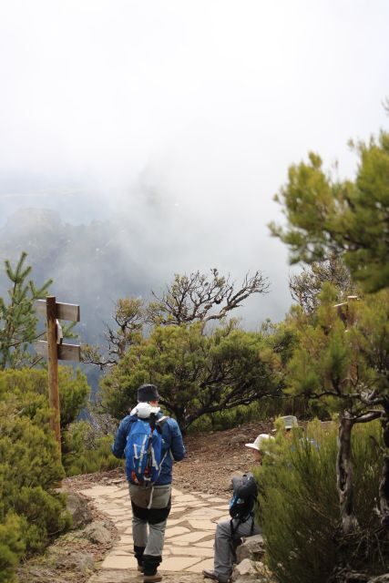 Private - Gastro Hike with Levada Walk and Local Food - Final Thoughts