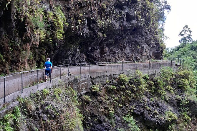Private Guided Walk Levada Faja dos Rodrigues half-day - Final Thoughts: Who Should Consider This Tour?