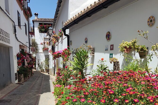 Private half-day tour of Ronda and the White Villages with native - Transportation and Logistics