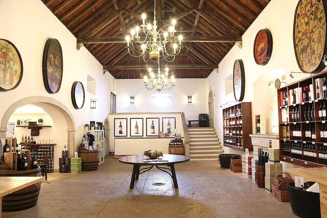 Private Lisbon wine tasting tour in the Setubal region - Why This Tour Works for Travelers