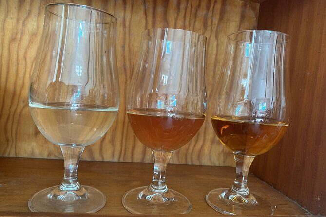 Private Mead Taste Experience in Lourdes - Final Thoughts: Is It Worth It?