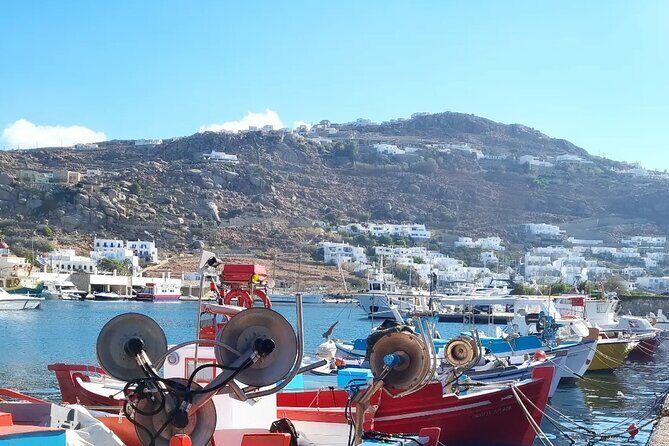 Private Mykonos Airport/Port Luxury Transfer-Taxi - Who Is This Transfer Best For?