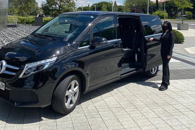 Private one way Transfer from/to Rome to/from Civitavecchia - The Experience: What You Can Expect