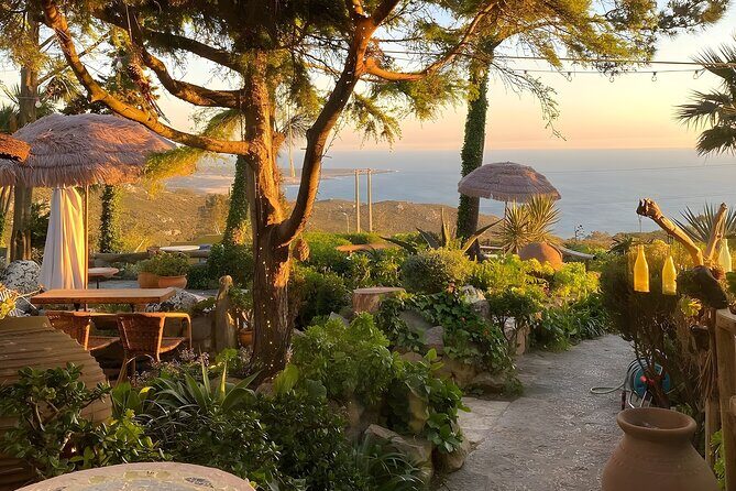 Private Paradise Beaches and Famous Beach Bars Tour in Lisbon - Who Will Love This Tour?