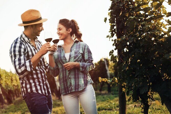 Private Santorini Fine Wine Tasting - Who Will Love This Tour?