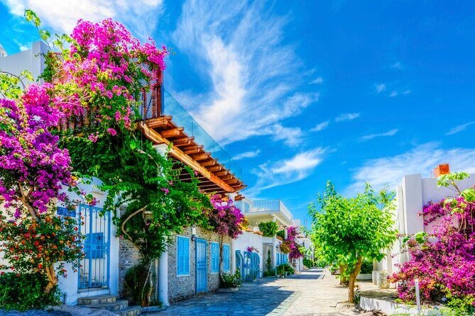 Private Shopping Tour in Bodrum city - The Sum Up