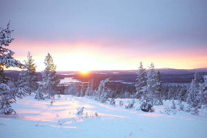 Private: Snowshoeing Safari in spectacular National Park - Practical Details and Considerations