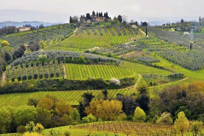Private tour from Livorno port to Chianti Wine Region - Deep Dive into the Itinerary