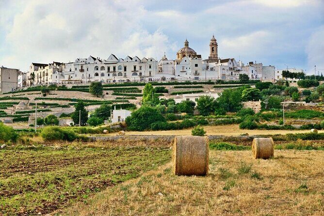 Private Tour in 3 Towns: Alberobello, Cisternino, Ostuni. - Ostuni: The White City