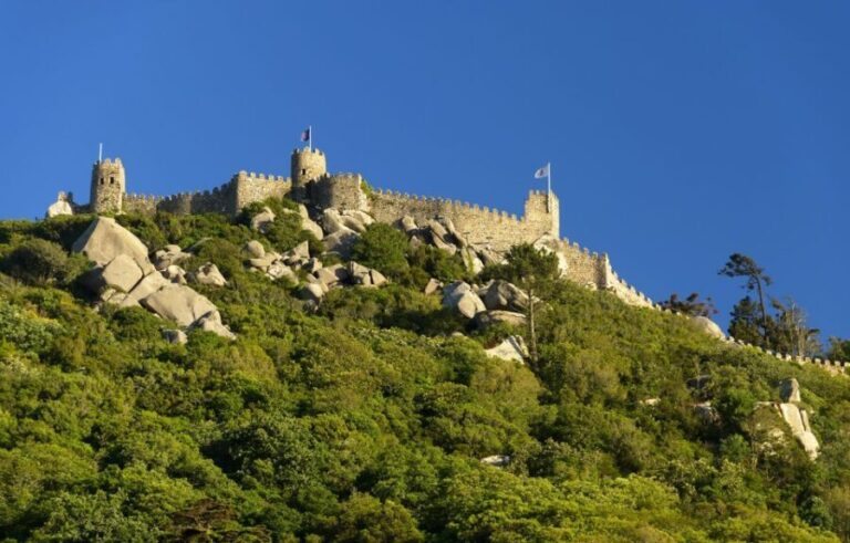 Private Tour - Sintra with Pena Palace and Cascais - What Travelers’ Reviews Reveal