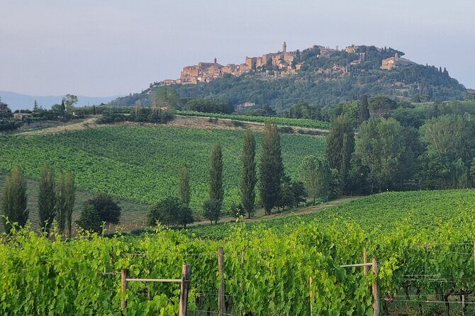 Private tour Wine and cheese a perfect combinations val 'Orcia - Who Will Love This Tour?