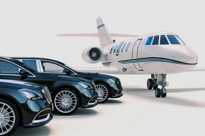Private Transfer from CDG or Orly Airport to Paris or Disneyland - Detailed Breakdown of the Experience