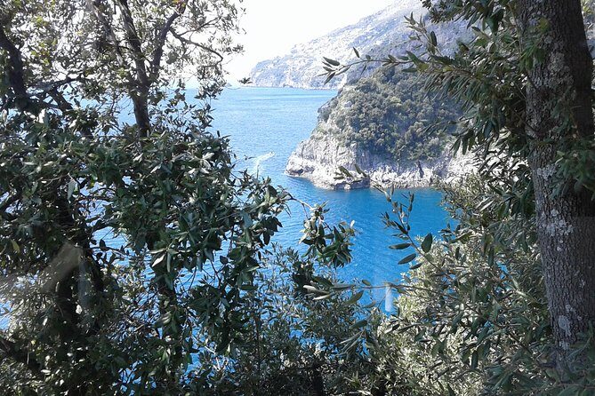 Private Transfer From Naples to Ravello/Sorrento stop at Pompeii - Pricing and Value