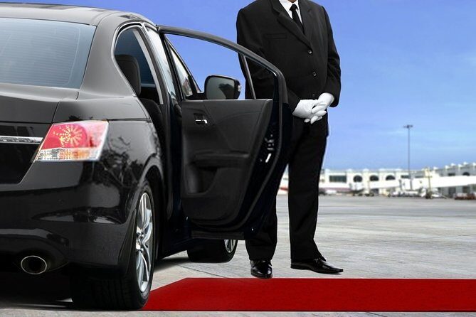 Private Transfer from The Hague City to Schiphol Airport - Why This Transfer Stands Out