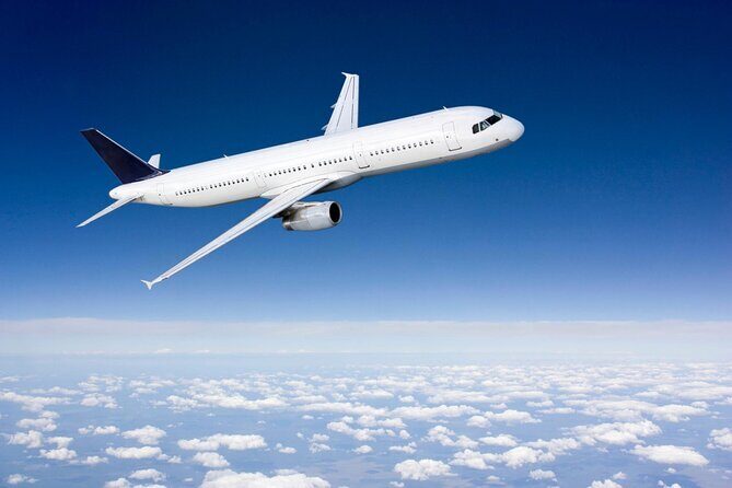 Private Transfer from / to Civitavecchia Port - Fiumicino Airport - Who Should Consider This Transfer?