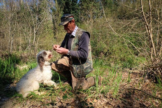 Private Truffle Hunting in Chianti - Authenticity and Value