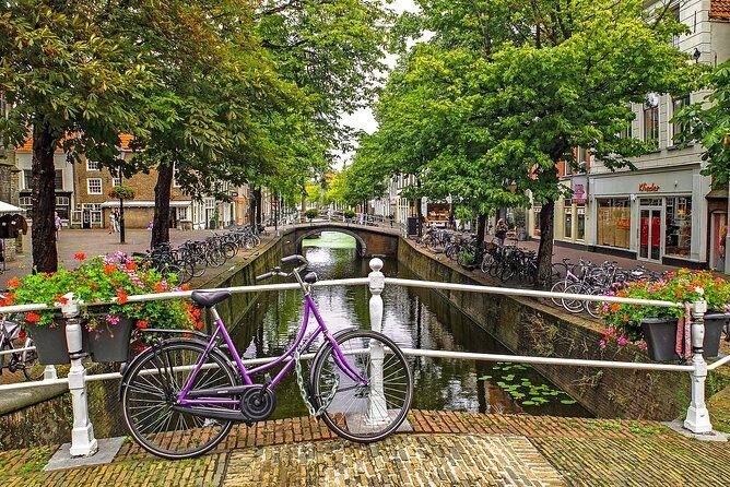 Private Walking Tour: Delft's Royal History and Pottery - Who Should Book This Tour?