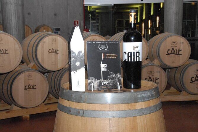 Private Wine Tasting And Visit Tour in Ribera Duero - Detailed Breakdown of the Tour