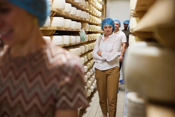 Prosecco Hills Wine and Cheese Gourmet Discovery - Authentic Experiences and Highlights